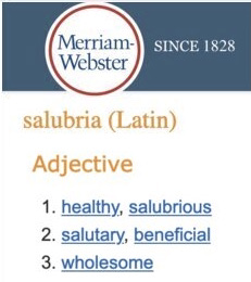 Welcome To Salubria, Iowa! | Our Iowa Heritage