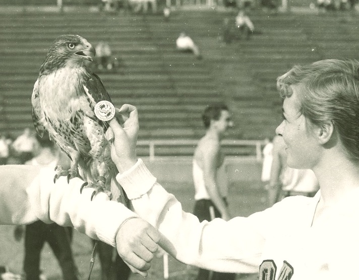 Herky The Hawk – 75 Years Young. | Our Iowa Heritage